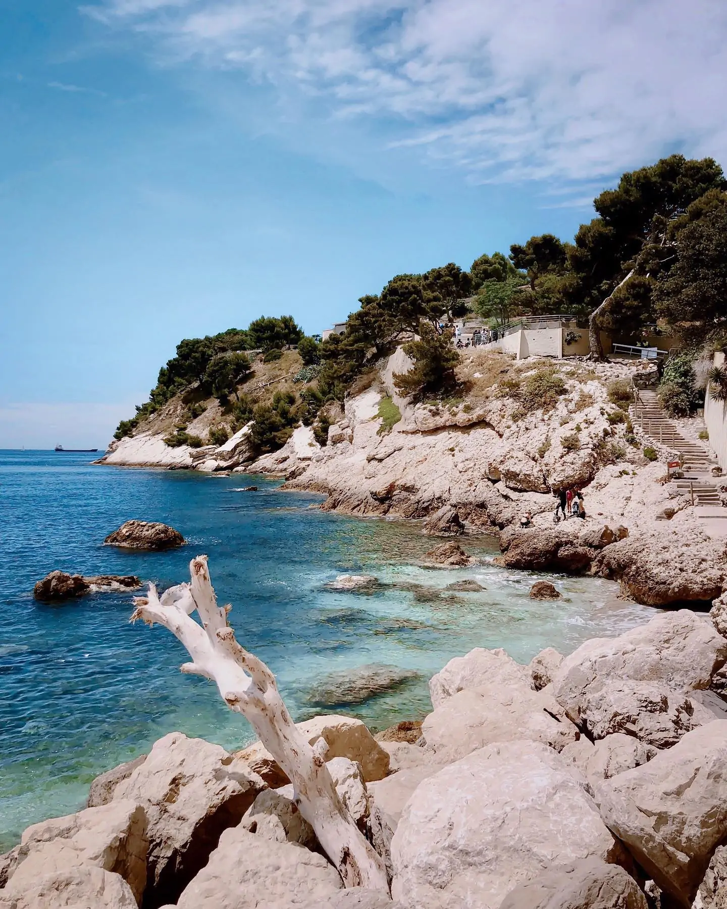 Visiter Marseille : guide complet pour votre séjour